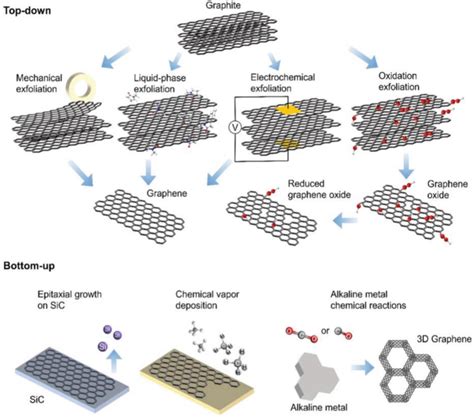 Graphene Based Carbonaceous Materials A Sustainable Biomaterial For