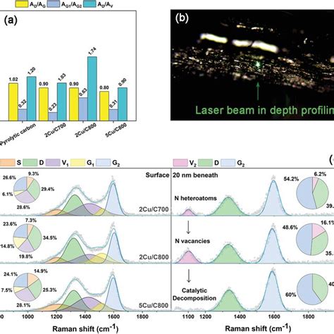 Shaobin Wang Professor Doctor Of Philosophy University Of