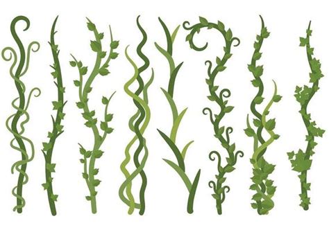 Vine Vector Art Icons And Graphics For Free Download