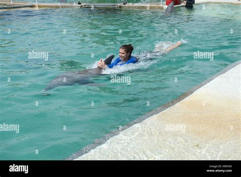 Key Biscayne Fl March Ana Ivanovic Of Serbia Sorana Cirstea Of Romania Marina Erakovic
