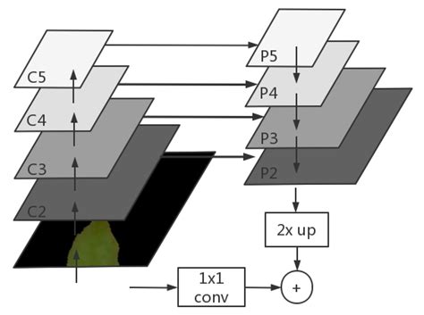 A Faster R Cnn Based Model For The Identification Of Weed Seedling
