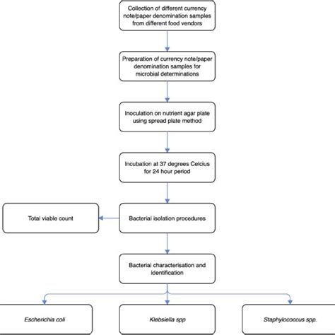 Factorial Experimental Design Table Download Scientific Diagram