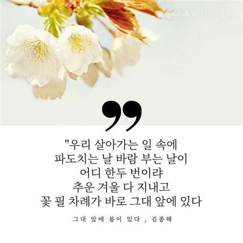 올내추럴 올내추럴감성글귀 그대 앞에 봄이 있다 김종해 우리 살아가는 일 속에 파도 치는 날 바람 부는 날이 어디 한두 번이랴 그런 날은 조용히 닻을 내리고 오늘