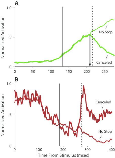 Relationship Between Frontal Eye Field Fef Neural Activity And Download Scientific Diagram