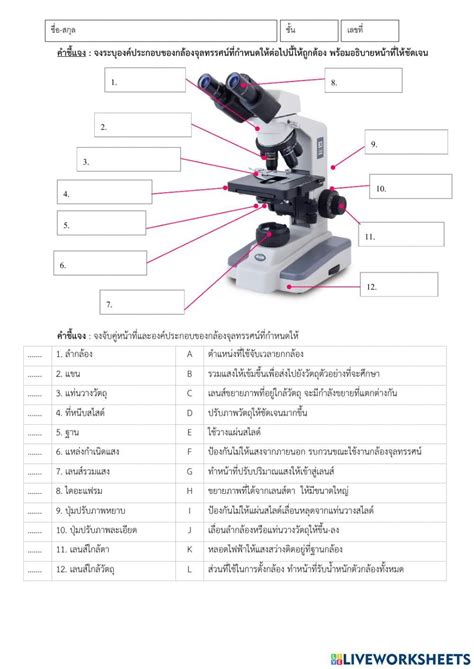 ส่วนประกอบของกล้องจุลทรรศน์ Sistemas