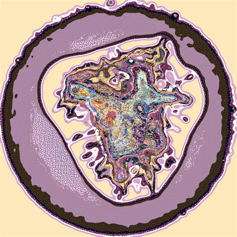 Phagocytosis Unit