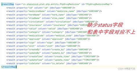 测试新增数据时报result Maps Collection Does Not Contain Value For Cnshanxincd