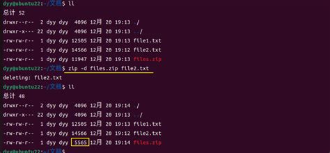 ubuntu 常用命令之 zip 命令用法介绍 ubuntu zip命令 csdn博客