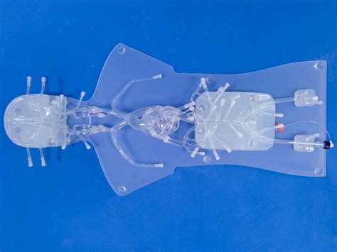 Angio Suite Training Model I Manufacturers And Suppliers China Wholesale Trandomed