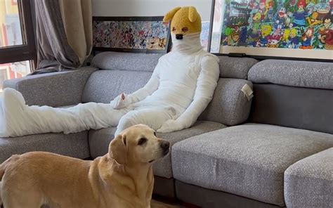 不就愚人节开了个玩笑么~ 汪丷先生 汪丷先生 哔哩哔哩视频