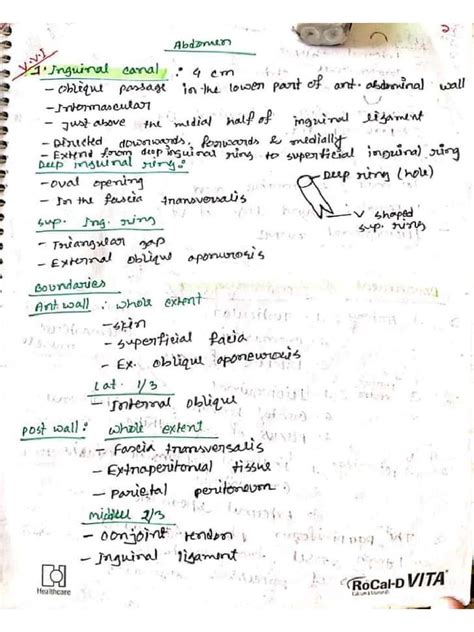 Anatomy Handnote Pdf