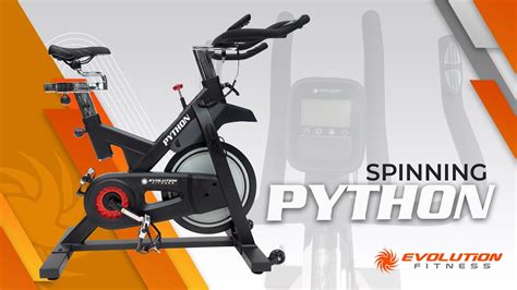 Spinning Phyton Youtube