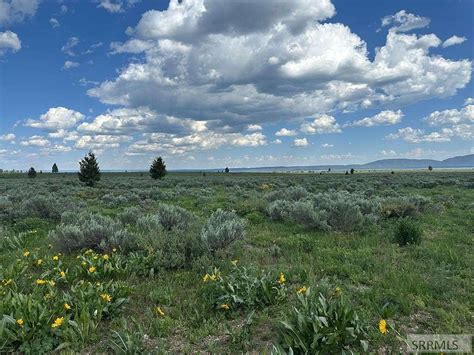 924 Acres Of Residential Land For Sale In Island Park Idaho Landsearch