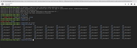 Using Gcsfuse Without Credentials Issue GoogleCloudPlatform Gcsfuse GitHub