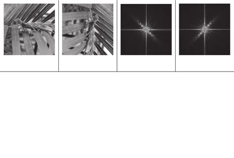 25 The Discrete Fourier Transform Feature Extraction And Image