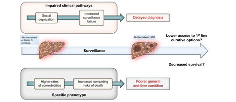 Journal Differences Between Hepatocellular Carcinoma Caused By Alcohol And Other Aetiologies