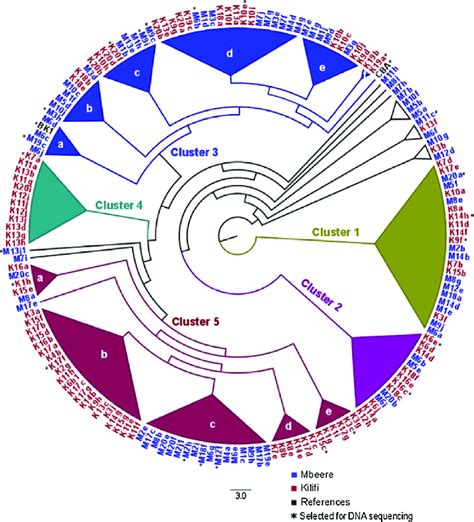 Dendrogram Of An Unsupervised Hierarchical Cluster Analysis Of