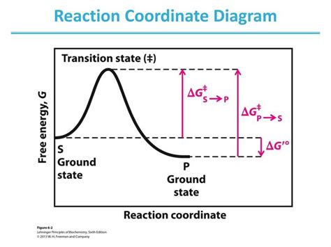 Understanding The Rate Determining Step Exploring The Reaction