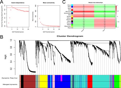 Co Expression Modules Identified From The Pca Rna Seq Data Sets By
