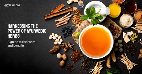 Top 30 Ayurvedic Herbs And Their Uses
