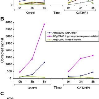 Schematic Overview Of The Flavonoid Biosynthetic Pathway In Arabidopsis