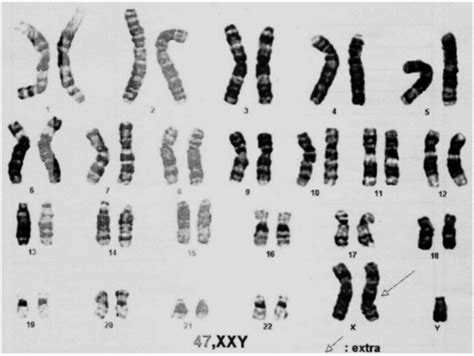 Comprehensive Biology Leap Review Key Terms And Definitions Flashcards
