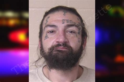 Matthew Powell — Walker County Jail Bookings