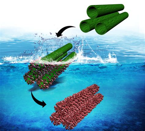The Amorphous Titania Nanotube Arrays Ntas Will Undergo Specific