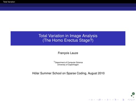 Ppt Total Variation In Image Analysis The Homo Erectus Stage Franois Powerpoint