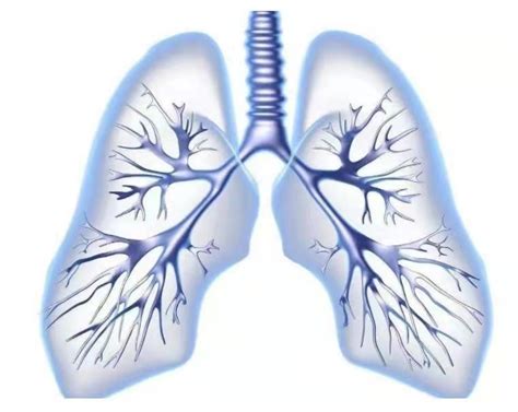 新发突变egfr T790m 知乎