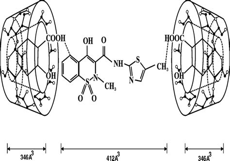 Proposed Structure For Meloxicam Cyclodextrin 12 Inclusion Complex Download Scientific Diagram