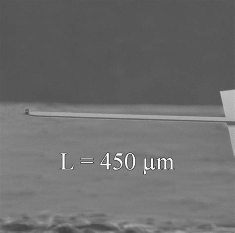 Sqube Colloidal Afm Probes Catalog