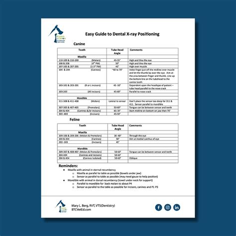 Dental X Ray Positioning Cheat Sheet Digital Download Beyond The Crown