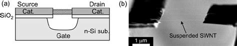 A Schematic Device Structure And B Sem Image Of The Fabricated