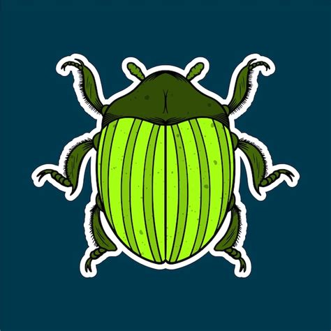 Premium Vector Hand Drawn Insect Doodle Sticker Illustration