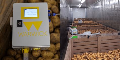 Tubersense Potato Crop Disease Monitoring System Has Entered Its Next