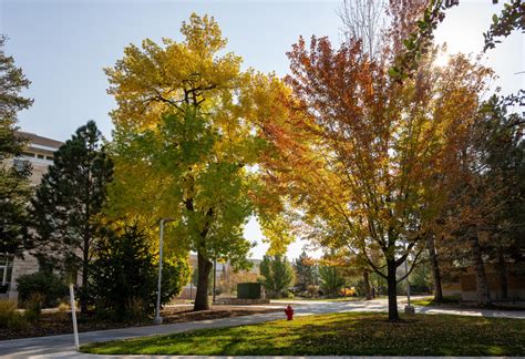 Byu Idaho Fall