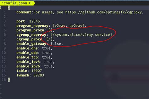 Eat Quotation Marks Issue Yggdroot IndentLine GitHub