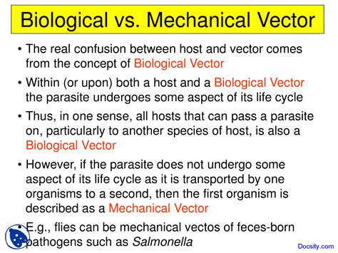 What Is A Biological Vector At Collection Of What Is A Biological Vector Free
