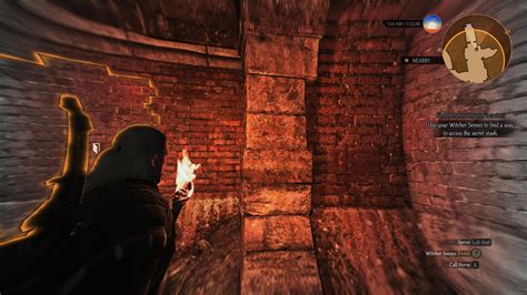 Anybody Else Get This Bug Rwitcher3
