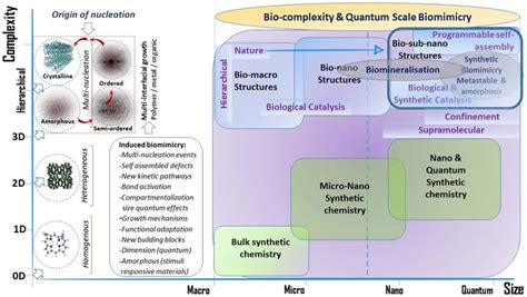 Biomimicry As A Route To Achieve Quantum Trapped Hierarchical