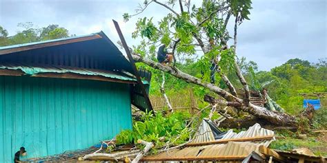 Dvb မိုခါ မုန်တိုင်းဒဏ်သင့် မံစီမြို့နယ် မိုင်ကုန်ကျေးရွာက နေအိမ်များ ပြန်လည်ပြင်ဆင်နေ