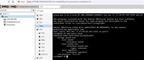 借鸡生蛋使用fnos的openvswitch打通dockerPVE网络 GreenDam