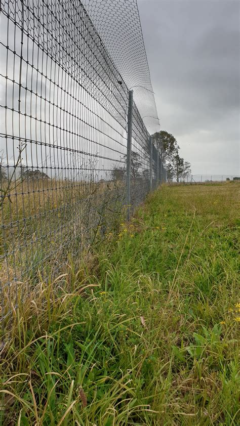 Poultry Fencing Rabbit Netting Australia Southern Wire