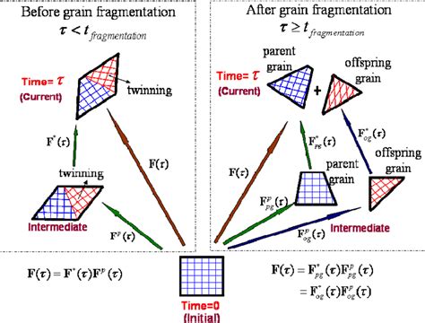 Summary Of The Multiplicative Decomposition Of The Total Deformation Download Scientific