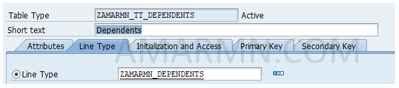 ABAP Dictionary Structure Amarmn Com