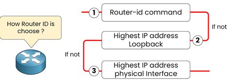 Ospf Router Id