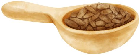 Watercolor Cocoa Beans In Wooden Spoon 9659863 Png