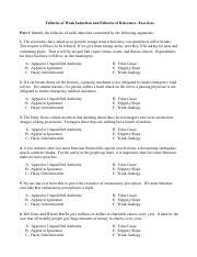 Fallacies Of Weak Induction Exercises Pdf Fallacies Of Weak Induction And Fallacies Of
