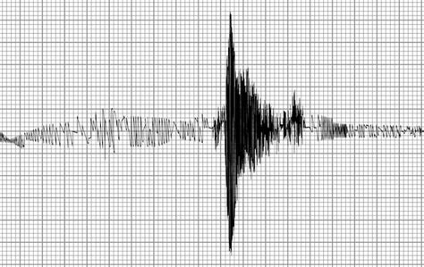 Premium Vector Seismogram Of Seismic Activity Or Lie Detector Black Record On Grey Chart Paper